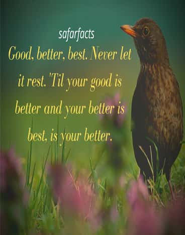 70 Best Thoughts Of The Day Motivational In English