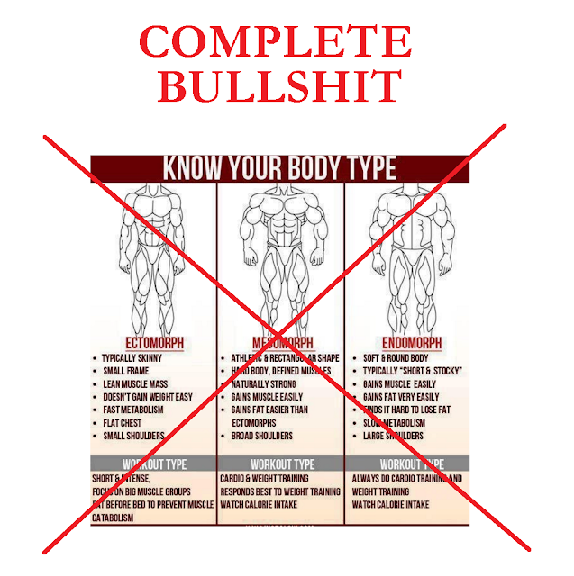 What Are Somatotypes Ectomorph Endomorph Mesomorph