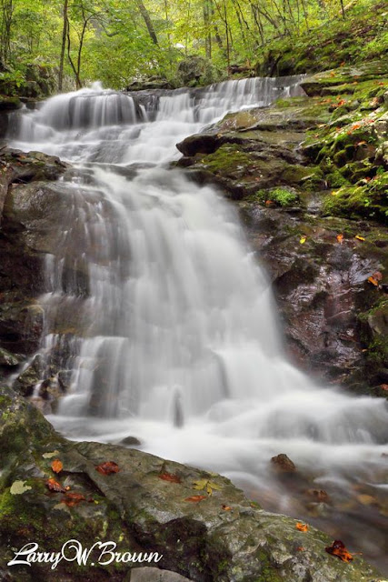 Shenandoah National Park Waterfalls Guide: Overall Run Falls