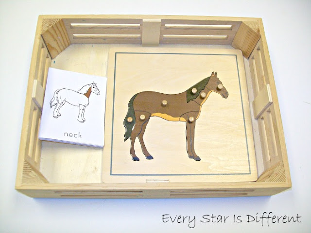 Mammals Unit 2 with Free Printables - Every Star Is Different