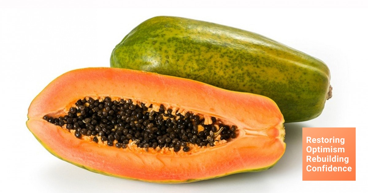 Mengenal Tanaman Pepaya | anakagronomy[dot]com