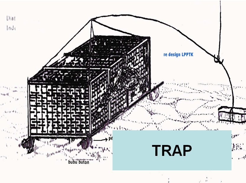Alat Tangkap Bubu Atau Trap (Metode Penangkapan Ikan (MPI)) - Melek ...