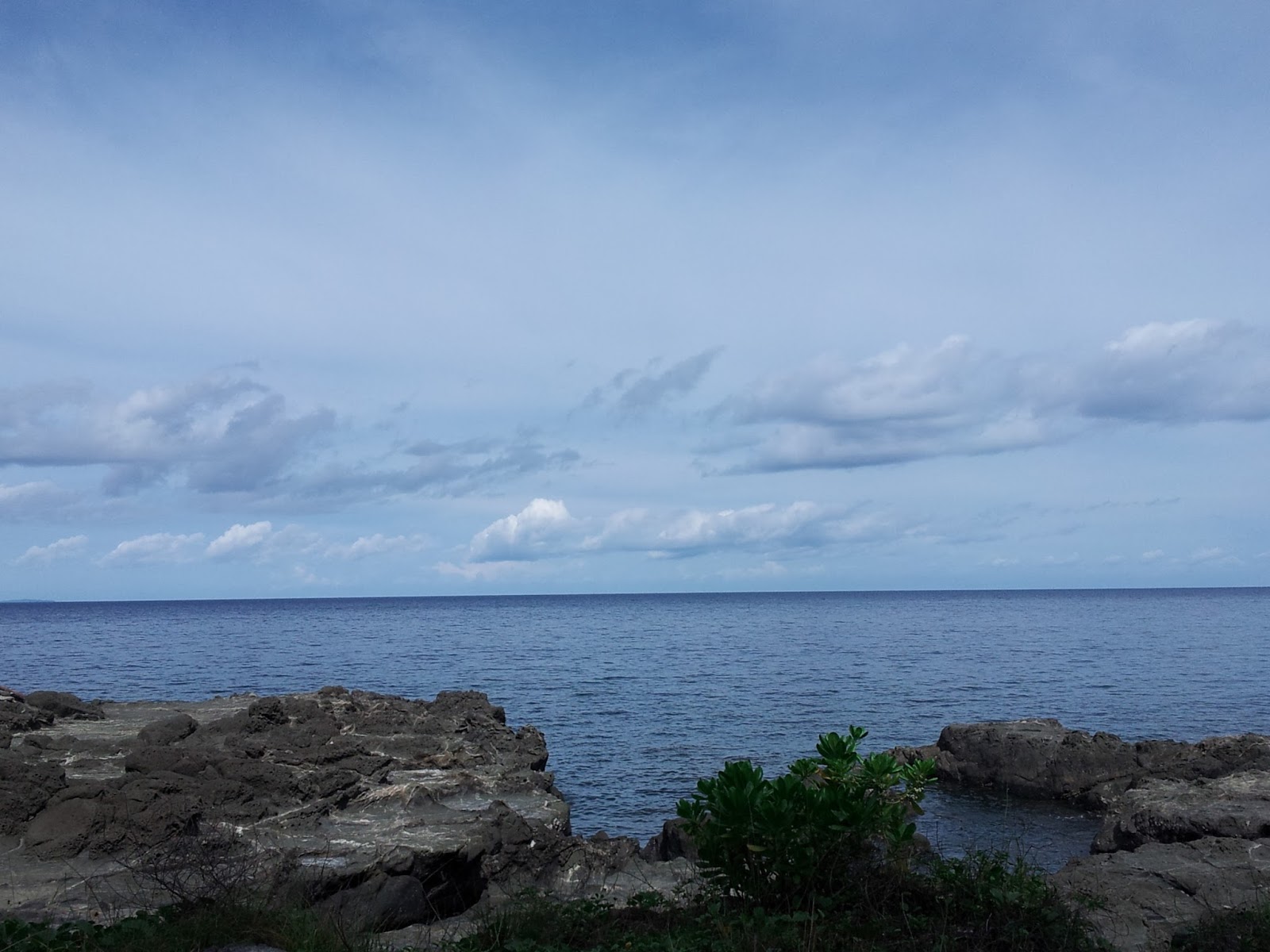 In Love With Sunflower: Road and Food Trip at Real, Quezon