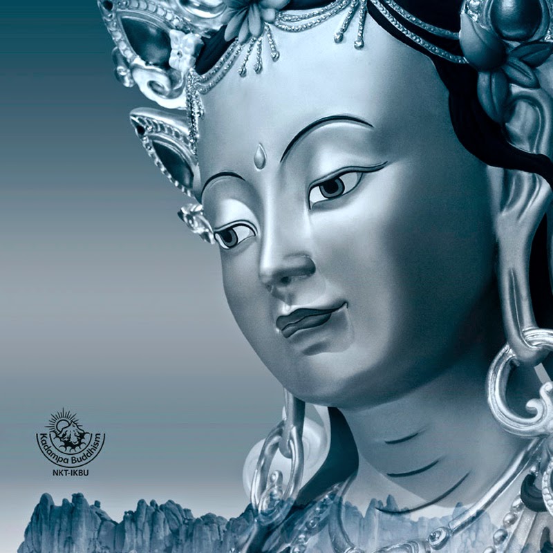 L'extraordinària història de Tara