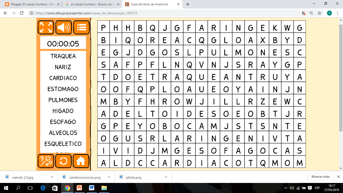 El cuerpo humano: Sopa de letras