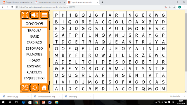 El cuerpo humano: Sopa de letras