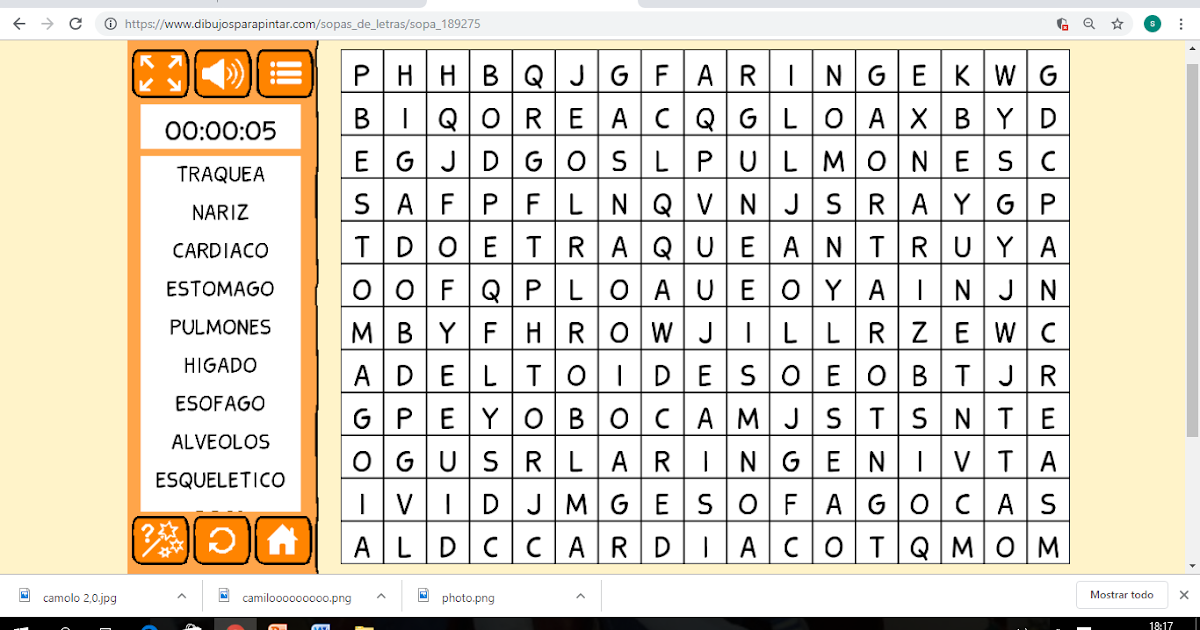 El cuerpo humano: Sopa de letras