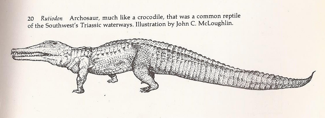 Love in the Time of Chasmosaurs: Vintage Dinosaur Art: Dinosaurs of the ...