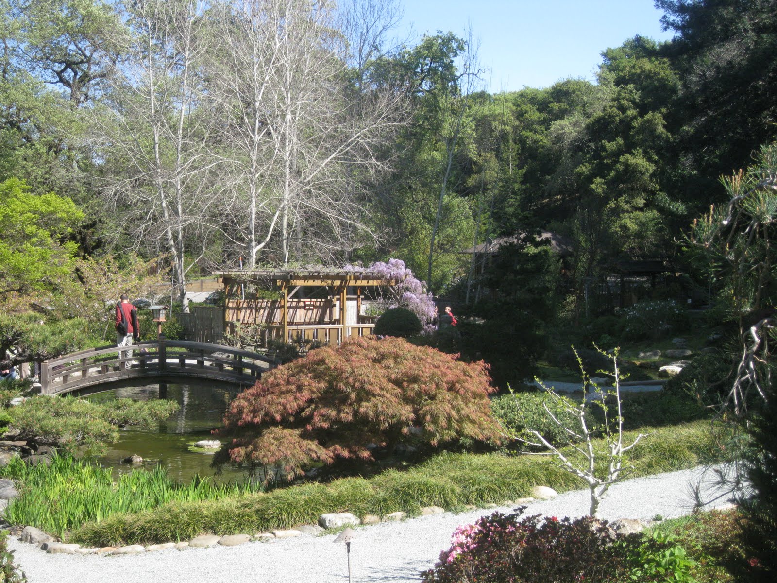 Sissel Olga goes to San Jose: Japansk hage