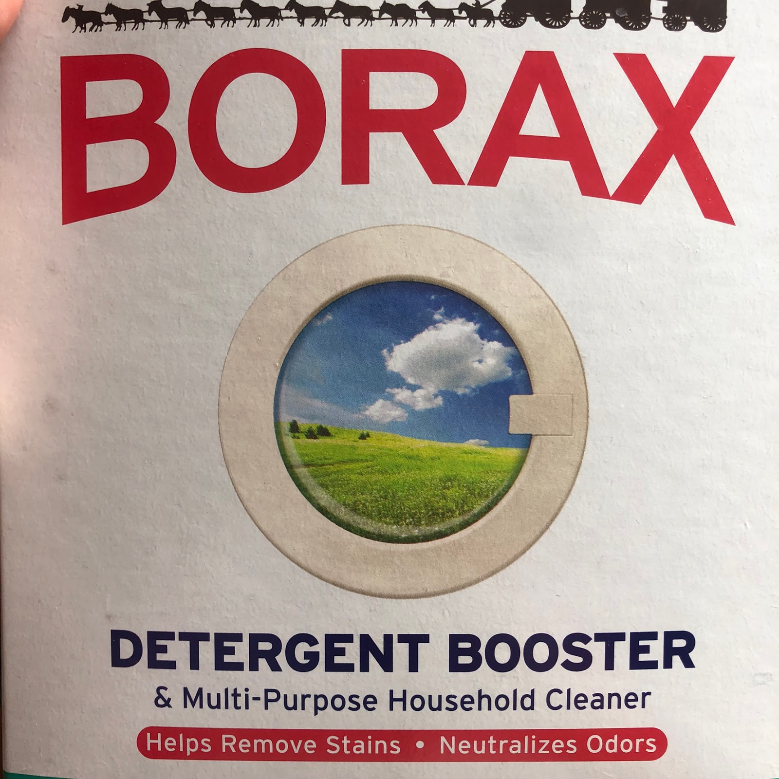 Easy Borax Crystals From Start to Finish * Science experiments