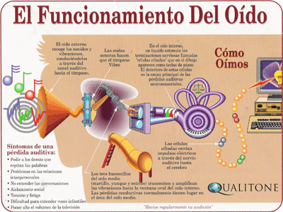 DEFICIT AUDITIVO RECURSOS : Video en el que se describe el Proceso de ...