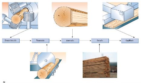 Instituto Tecnico Industrial Piloto: La madera