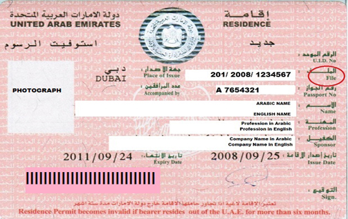 UAE Residence Visa for Investors Family