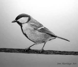 Jim Hartlage Art: Bird In Graphite