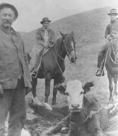 Today's News: The American Cowboy