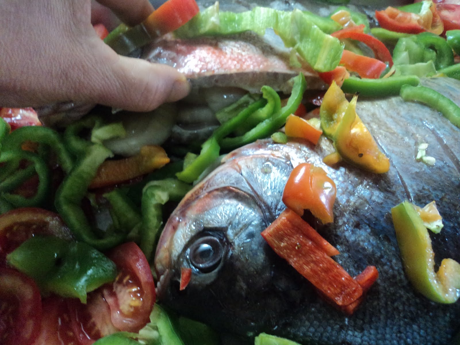PROJETO VIDA SAUDÁVEL: PEIXE ASSADO COM MANDIOCA