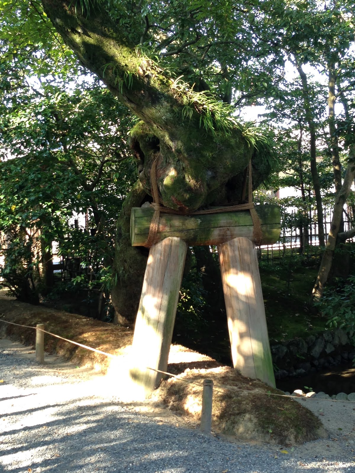 JAPAN [six]: GARDEN PROPS & A FEW TOOLS... – GRB BELLS