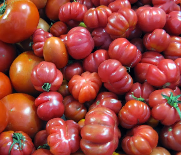 My Mexican Kitchen: You say "Tomato", she says "Tomahto", I say "Criollo".