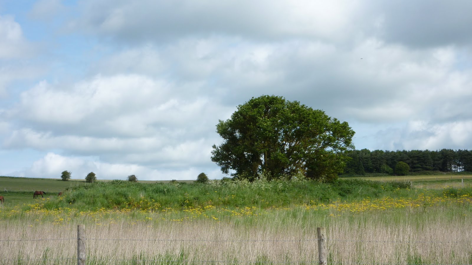 Haunted Wiltshire: Manton Long Barrow
