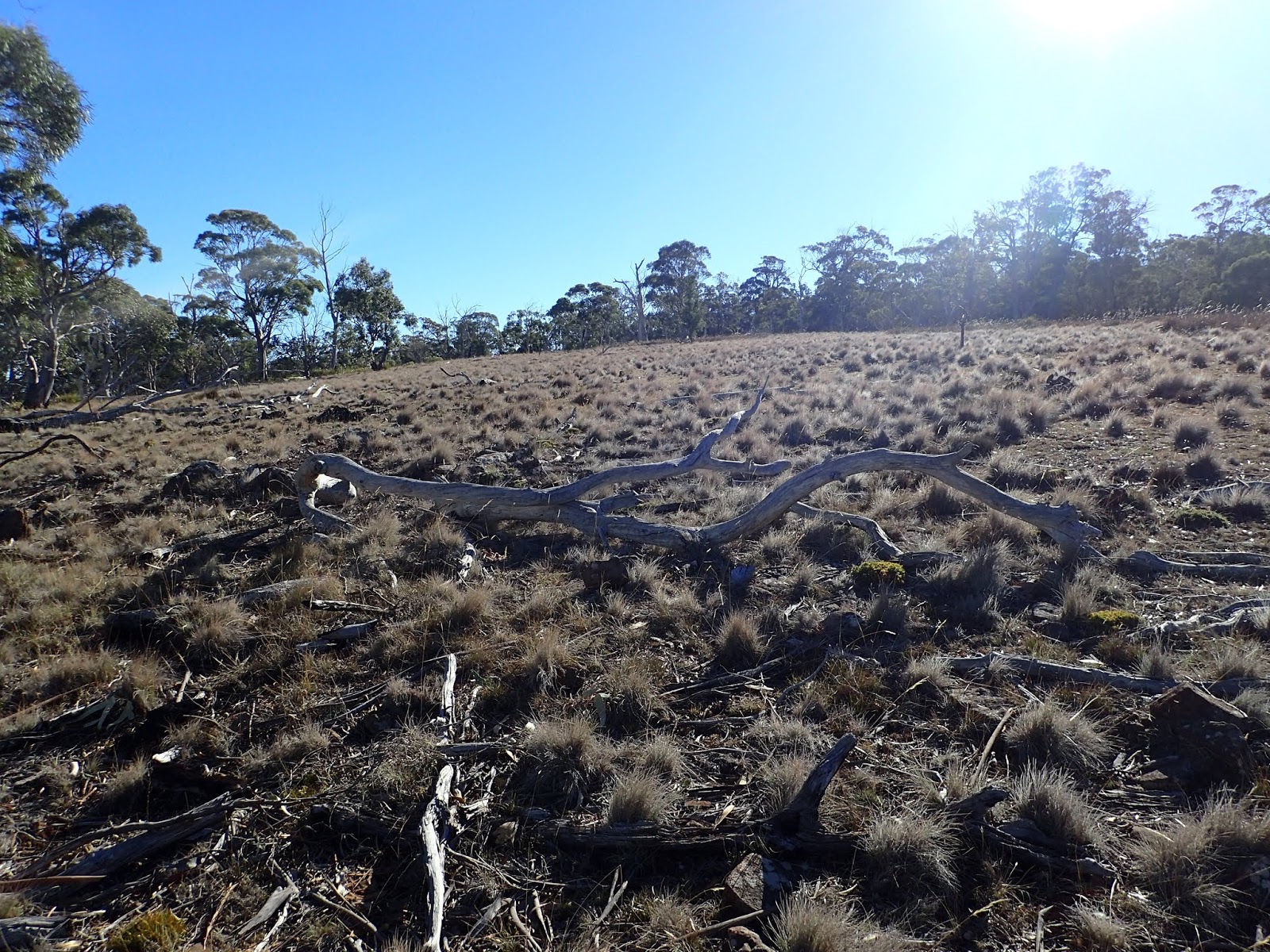 Mount Direction West | Hiking South East Tasmania