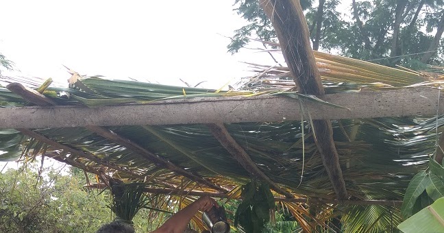 Dwaitha Tatthva Vaadha: Smarane of Paramapriya Subbaraya dasaru ...