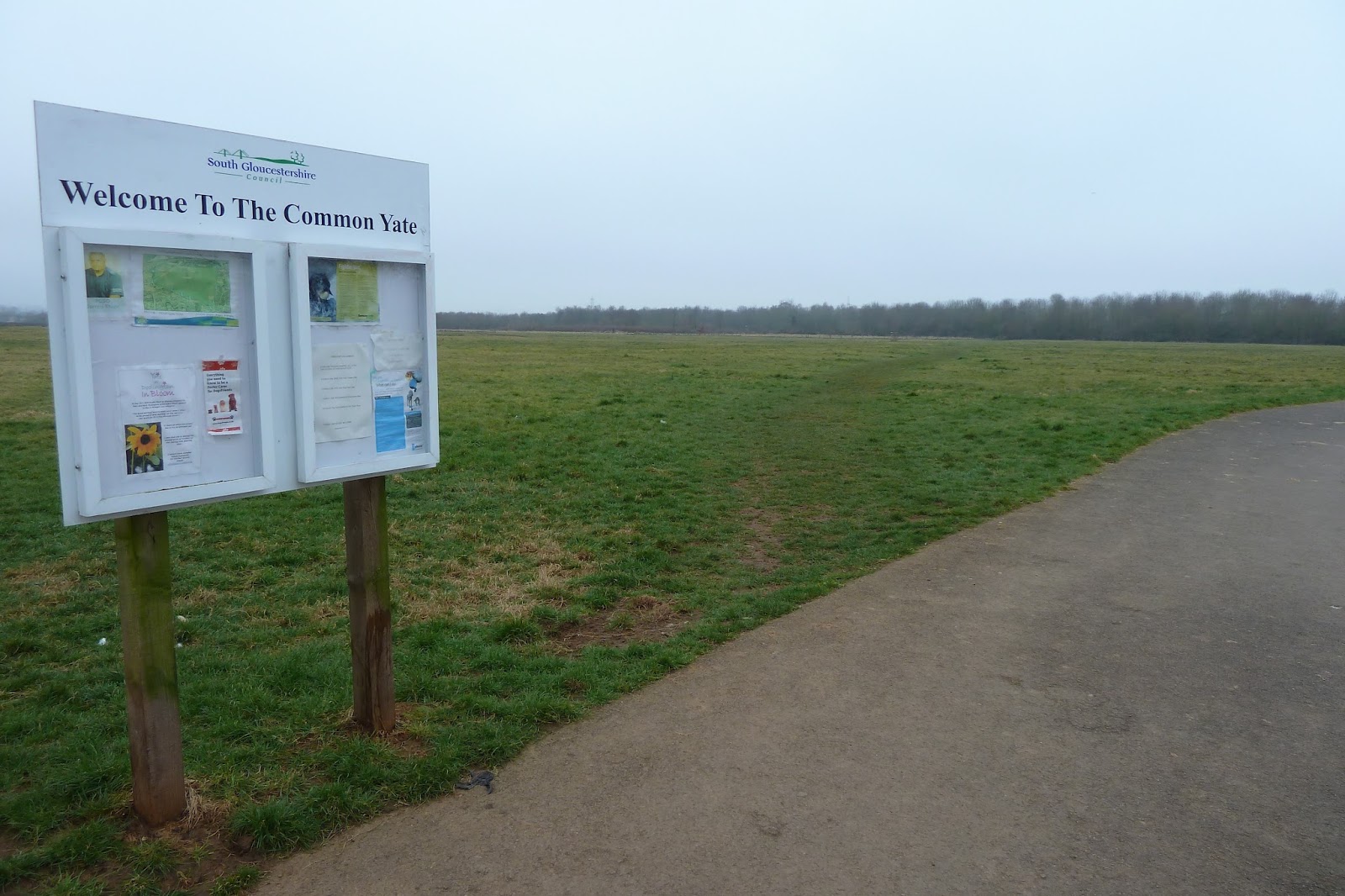 The Rainforest Fund Project: Ecology near Yate and Stoke Gifford