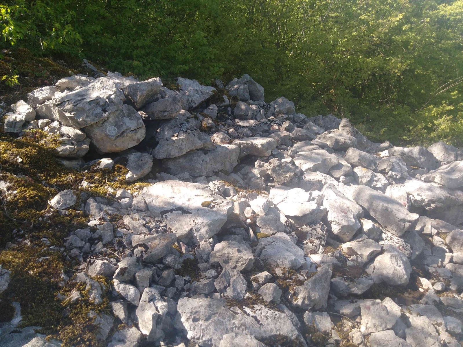 ZABORAVLJENA ILIRSKA GRADINA U GORNJIM MAMIĆIMA KOD ŠIROKOG BRIJEGA ...