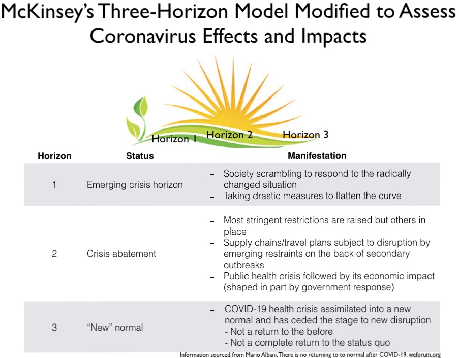 Everything Else: A modified McKinsey Three-Horizon framework as a tool ...