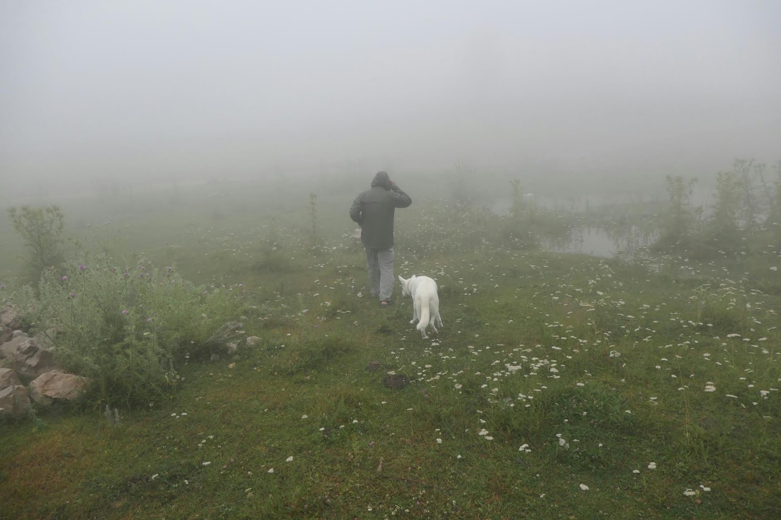 RoadTrip from Austria to Iran 2019: 1400 km: Albania, Sari Saltik