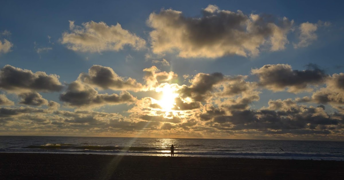 PICS 'n TALES: SUN RAY BEACH