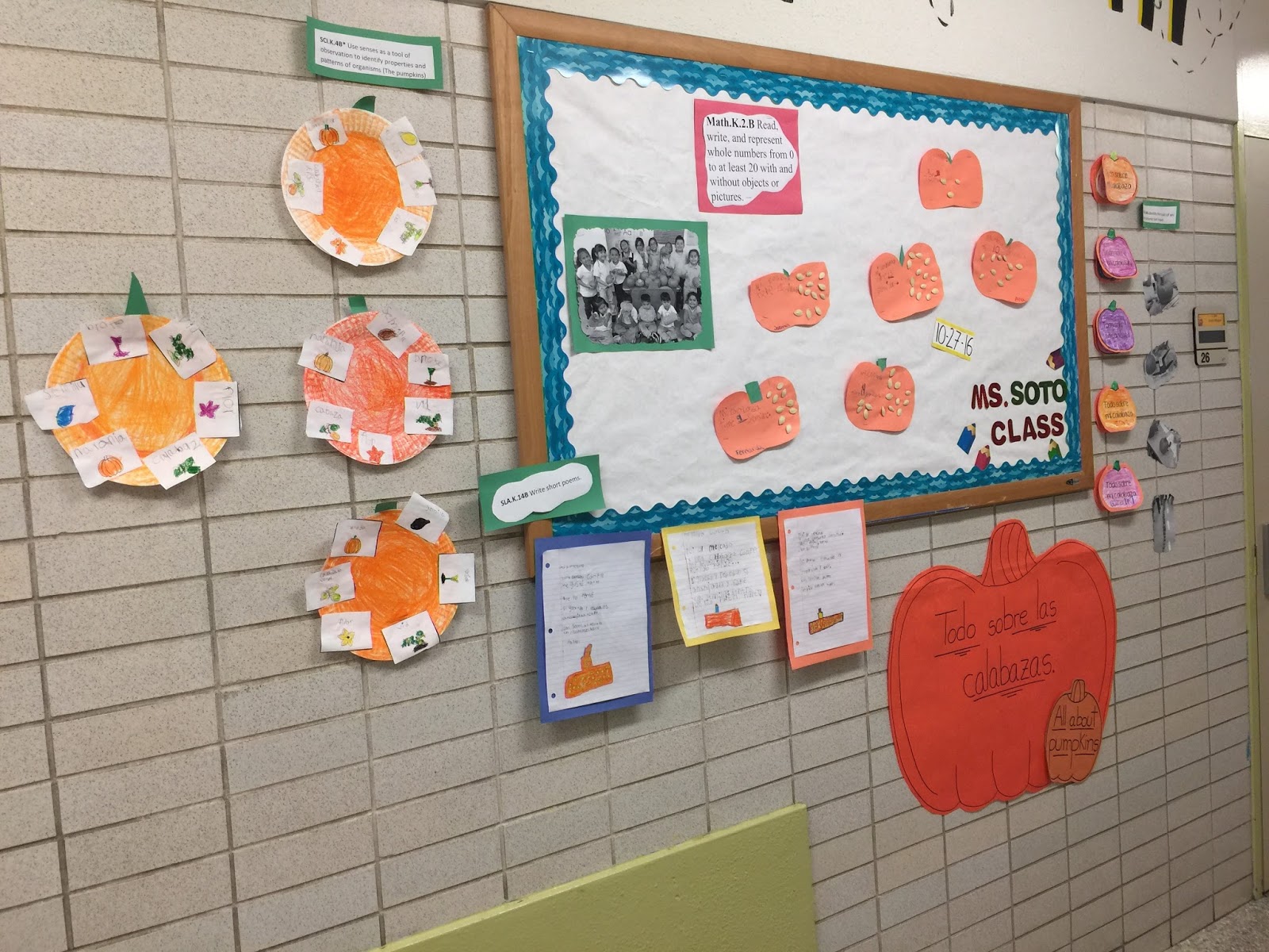 baul de ilusiones: Proyecto: Todo sobre las calabazas