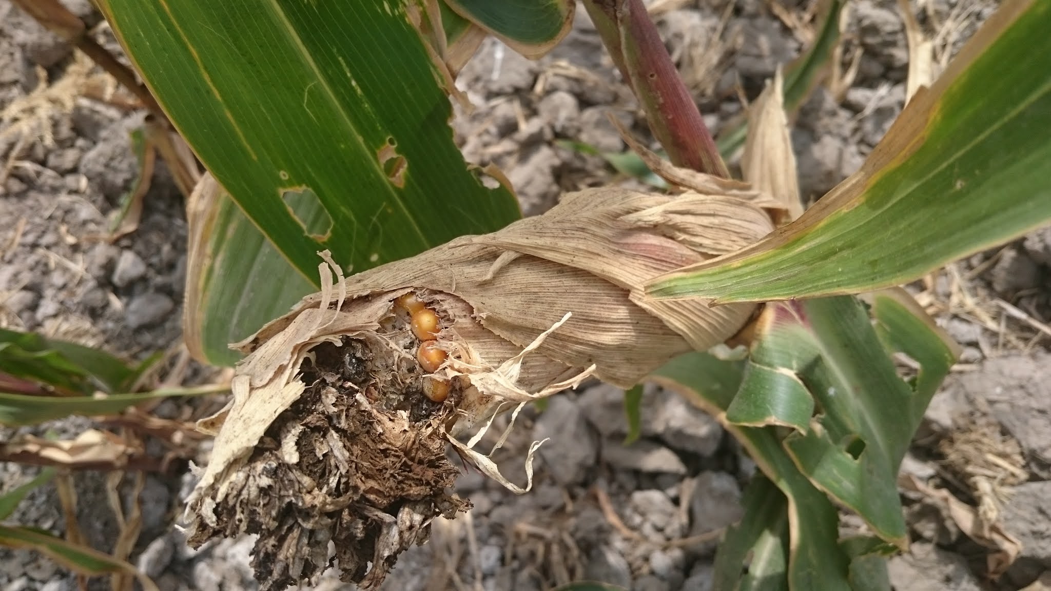 Trabajos de investigacion