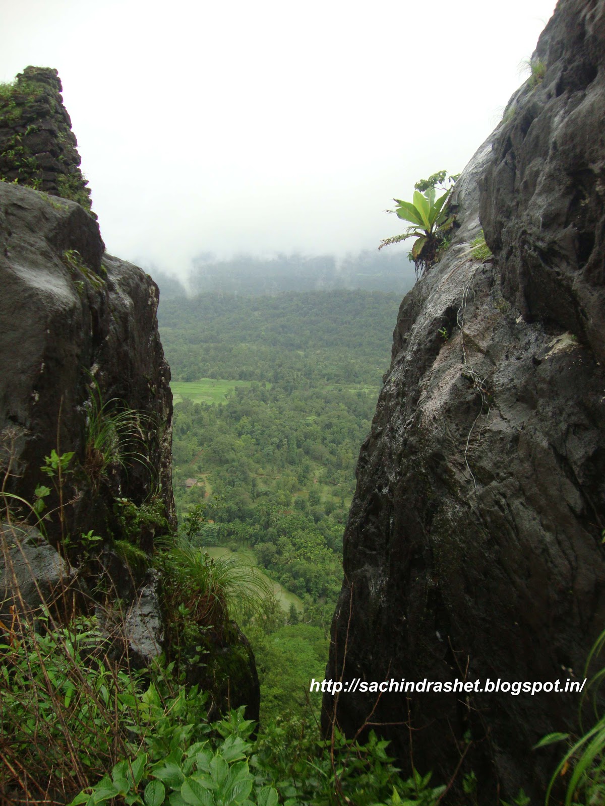 Exploring Nature: Metkal Gudda, Hosangadi