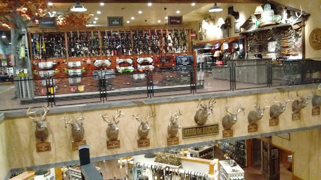 Adventures for Anyone: It's More Than Just Sporting Equipment...It's ...