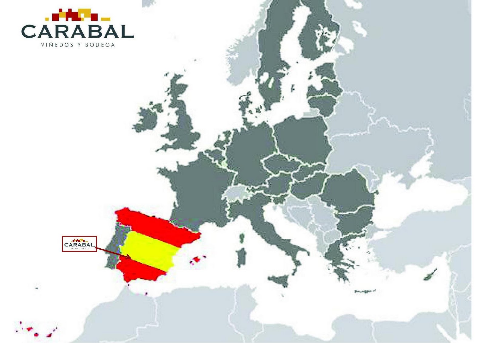 Rutas Enológicas: BODEGAS CARABAL