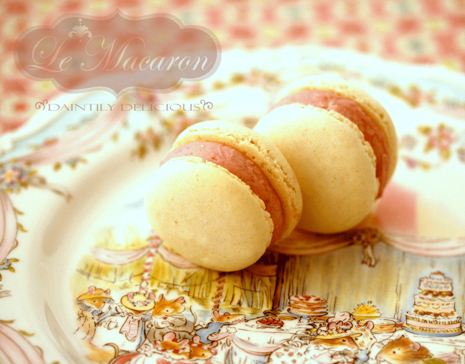{LeMacaron} south africa