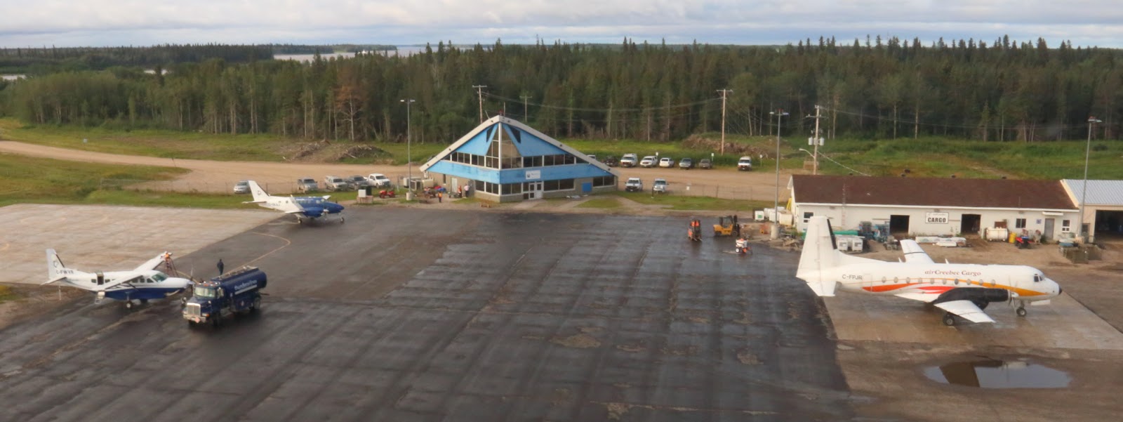 Birds and Nature North America