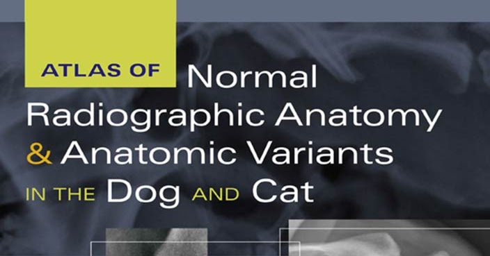 Atlas of Normal Radiographic Anatomy and Anatomic Variants in the Dog ...