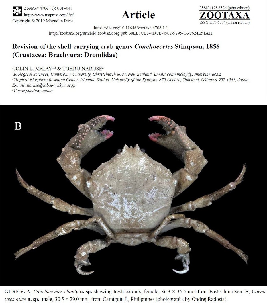 Species New to Science: [Crustacea • 2019] Revision of the Shell ...