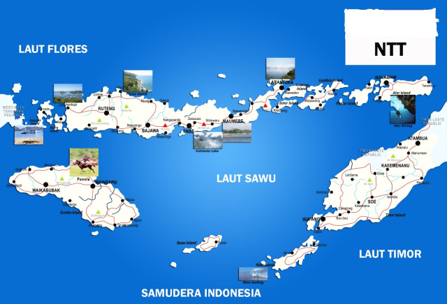 WHAT’S SO SPECIAL ABOUT NTT?