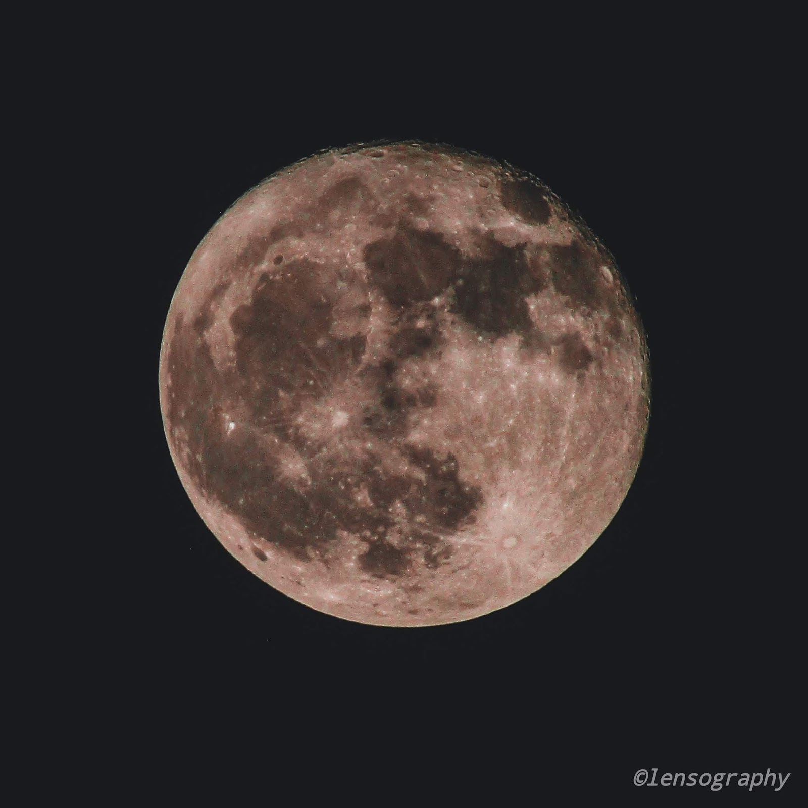 MOONLIGHT | Lensographic