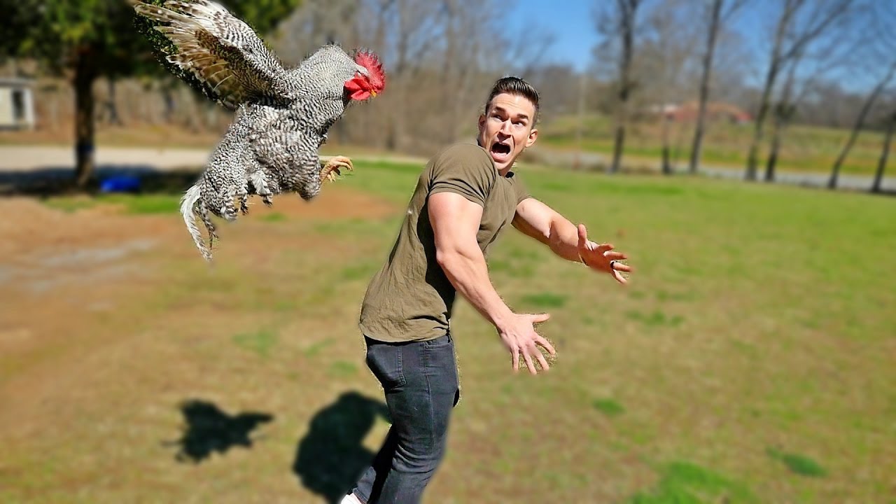 Vanadorn D&D Campaign: Meet 93, Adv 6, 8/10/19