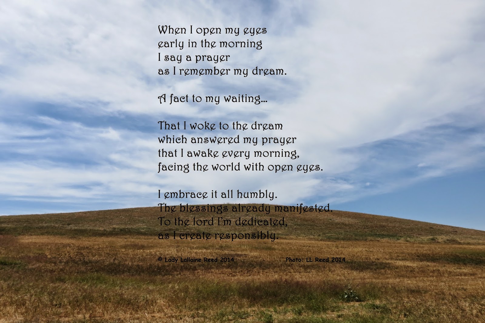 Lady Lallaine Reed's Positive