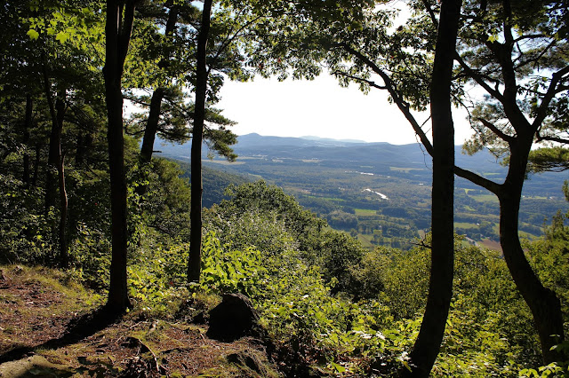Walking Man 24 7: Folded Rock(Battenkill State Forest)