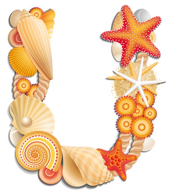 Escuela infantil castillo de Blanca: ALFABETO CON CONCHAS