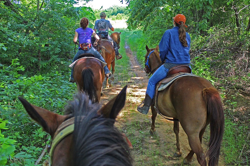 Dallas Trinity Trails: Horseback Riding The Trinity River