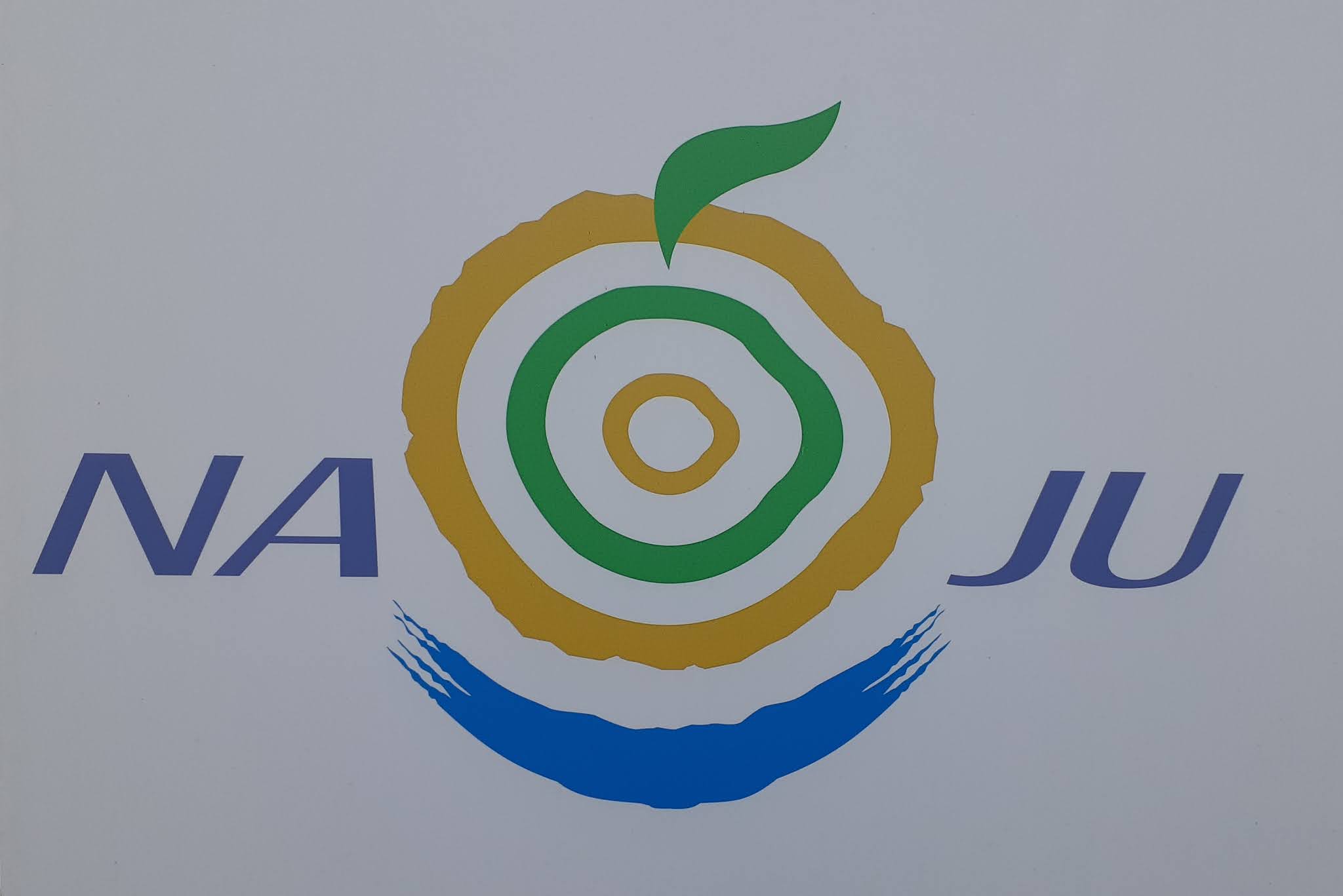 BCI Signage View: CI, Symbol mark, Logo, Emblem of Naju-si(city) in Jeollanam-do (전라남도 나주시 CI ...