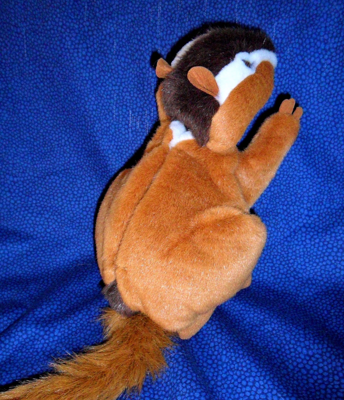 Beyond the Book Storytimes: Chipmunk & Bear