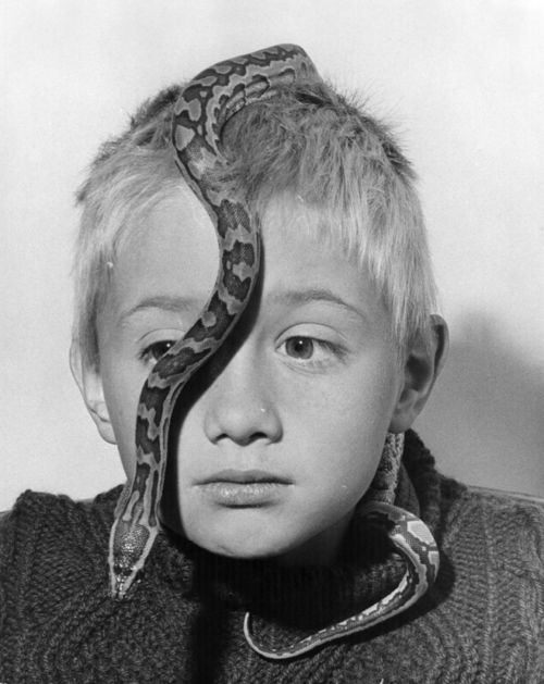 Stereosc2pe + | The Snake - C o c o s s e