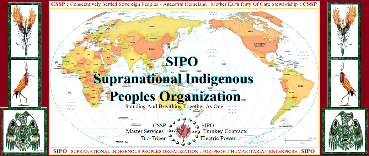 SGO ____________ SUPRANATIONAL ORGANIZATIONS ____________ SGO: THE TWO ...